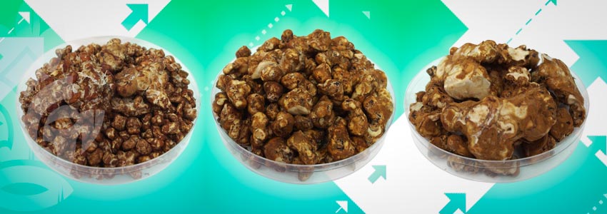 Comment faire pousser vos propres truffes magiques - Zativo